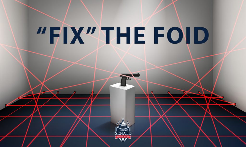 New law perpetuates failures of the FOID system - Sue Rezin